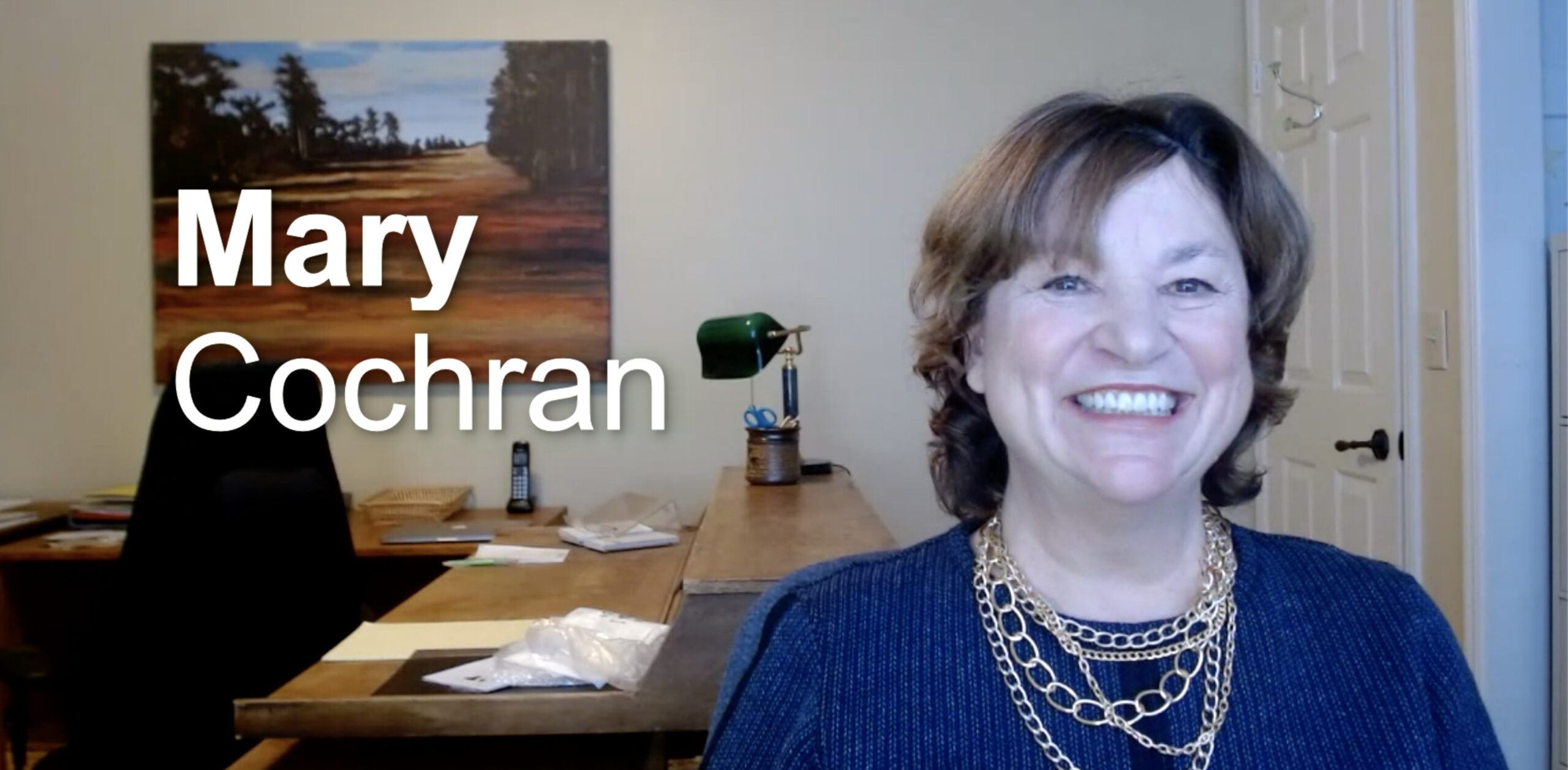 “Digital Champions” with Mary Cochran from Launching Labs Marketing ...